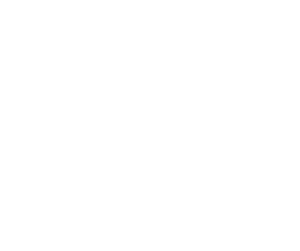 Quienes Somos - Censo 2024